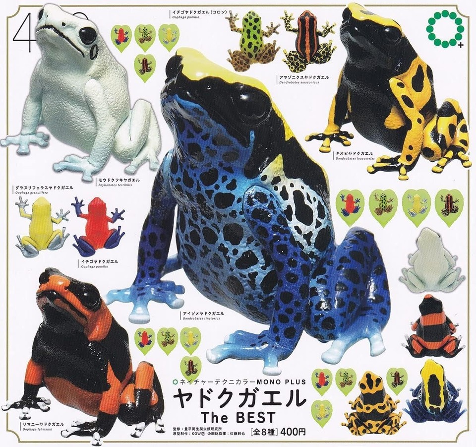 Nature Mono Plus Poison Frog The Best All 8 Variants Set Gashapon Japan ...