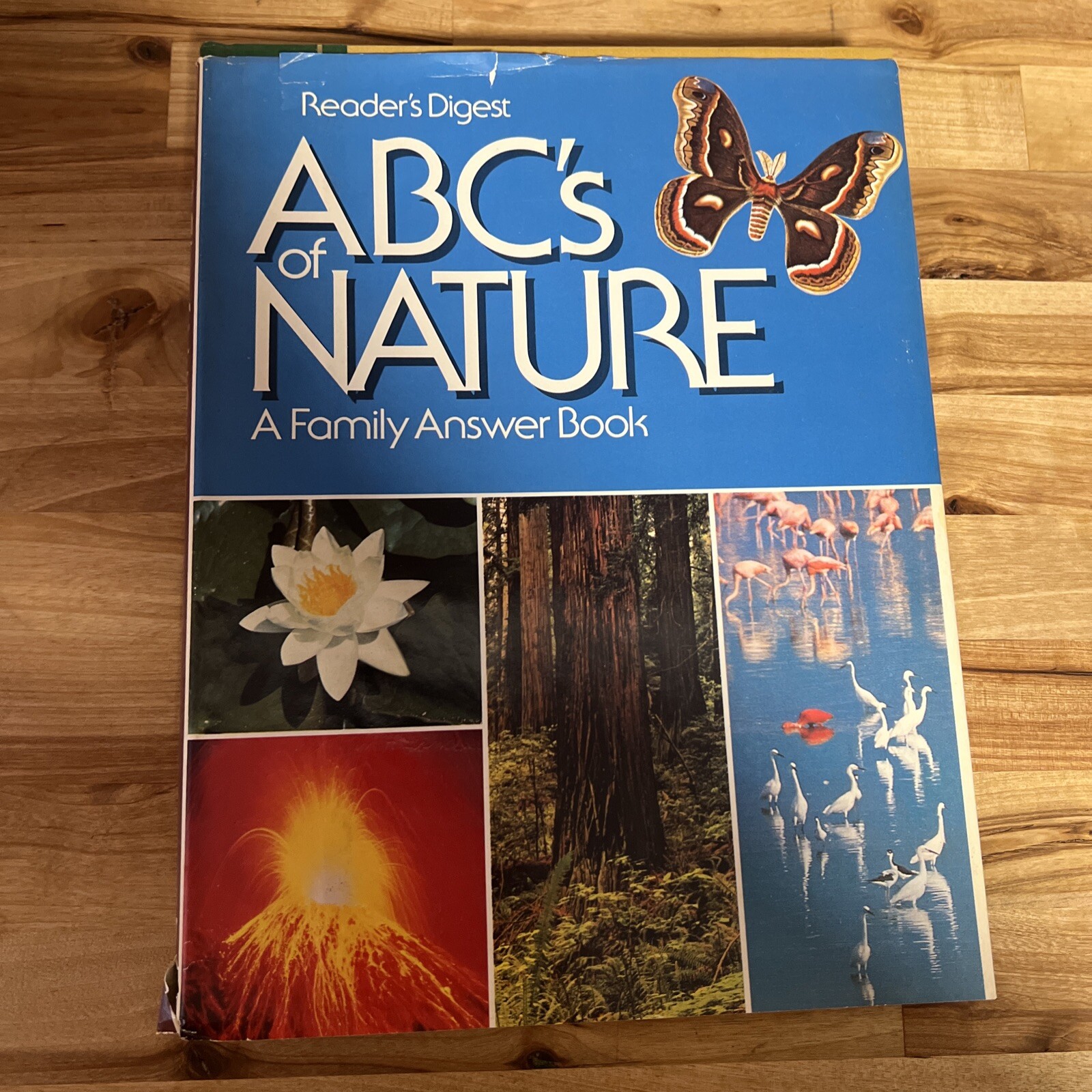 ABC's of Nature: A Family Answer Book (Reader's Digest Editors,1984 ...