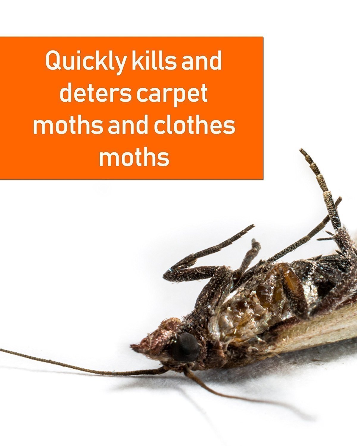 CARPET MOTH KILLER SPRAY TRAP MOTHS CONTROL KILLER SPRAY CLOTHES ...