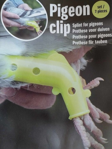 Prosthesis weterinary leg brace for pigeons and other birds pigeon clip ...
