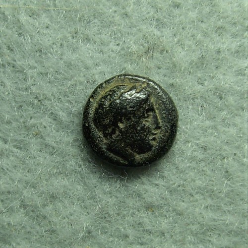 Mysia, Pergamon, AE 10, 310-282 BC, Apollo / Bull's Heads, aVF | eBay