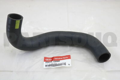 254121R000 Genuine Hyundai / KIA HOSE-RADIATOR LWR | eBay