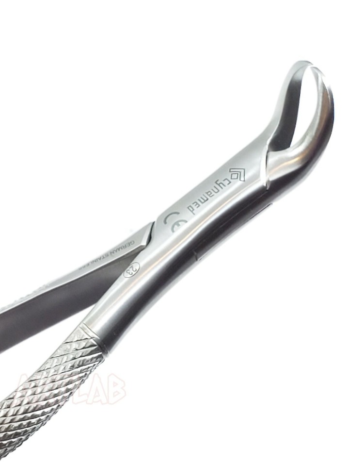 2 GERMAN COW HORN LOWER MOLAR DENTAL TOOTH EXTRACTION EXTRACTING ...