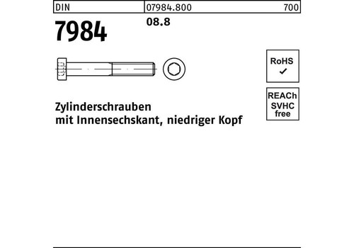 Reyher Zylinderschraube DIN 7984 m.Innensechskant M 5 x 25 8.8 | eBay.de