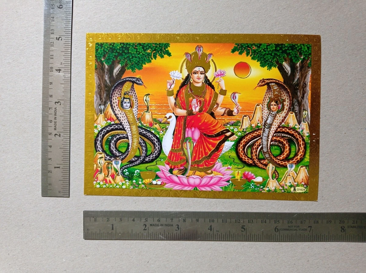 Hindu Snake Goddess