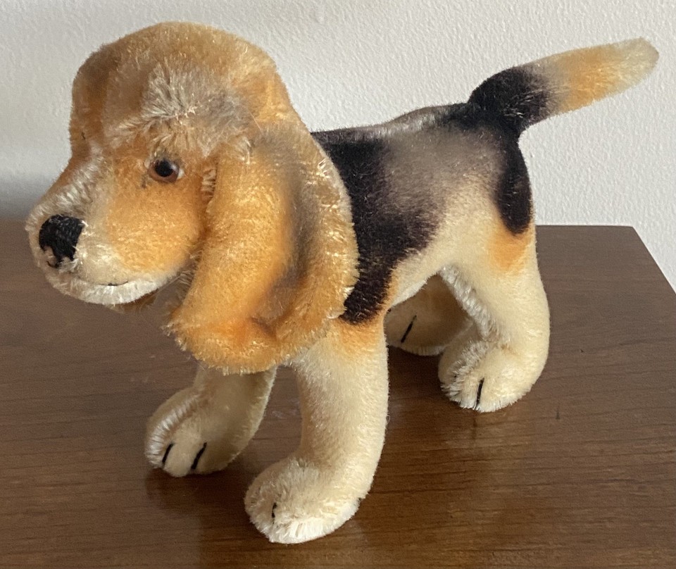 RARE STEIFF Biggie Beagle Dog 1950s standing 7” Mohair ALL ID Vintage ...