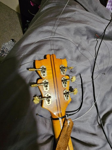 1958 hofner committee. Great condition | eBay