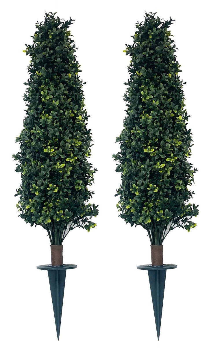 Tall Potted Trees
