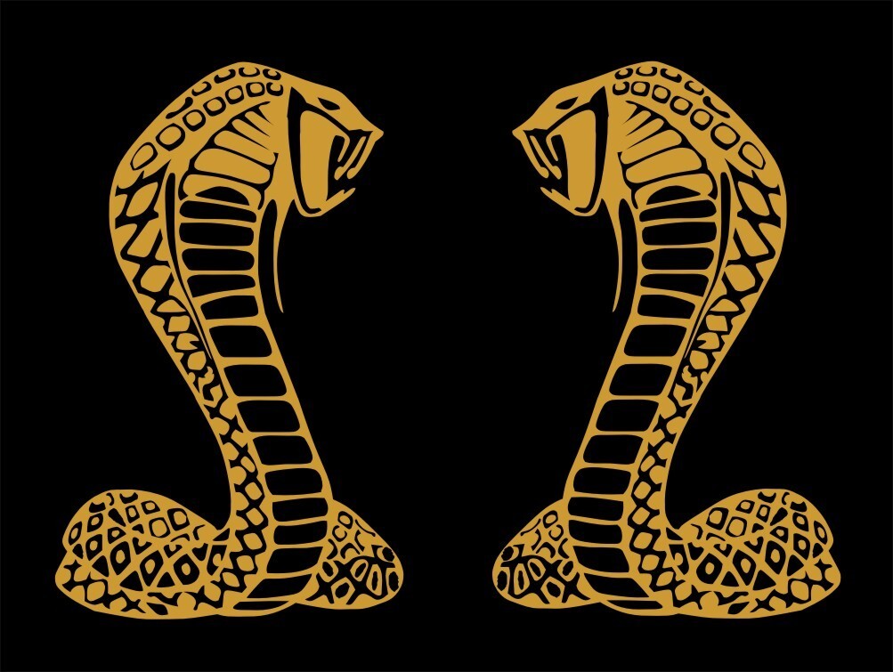 Cobra vinyl decals TWO (2) 180 x 115 mm each CONFIRM your color | eBay ...