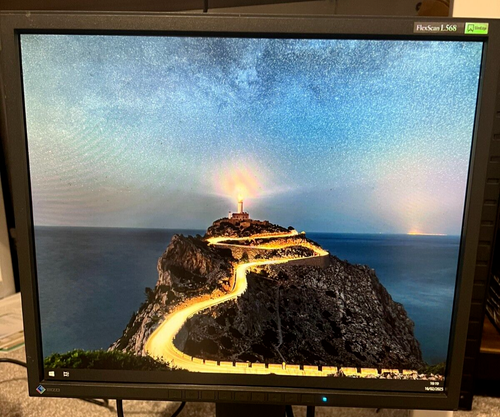 EIZO FLEXSCAN L568 17" LCD MONITOR 0FTD0701 1280x1024 DVI VGA USB PIVOT BLACK | eBay UK