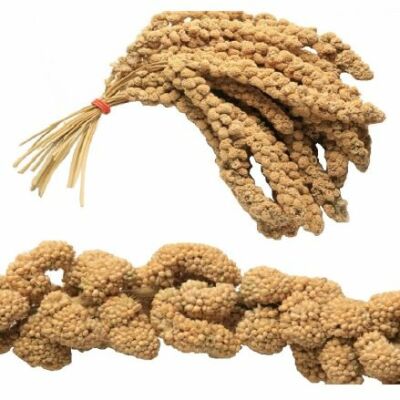 Millet Spray Seeds For Budgies and other Birds and Parrots 1GK High ...