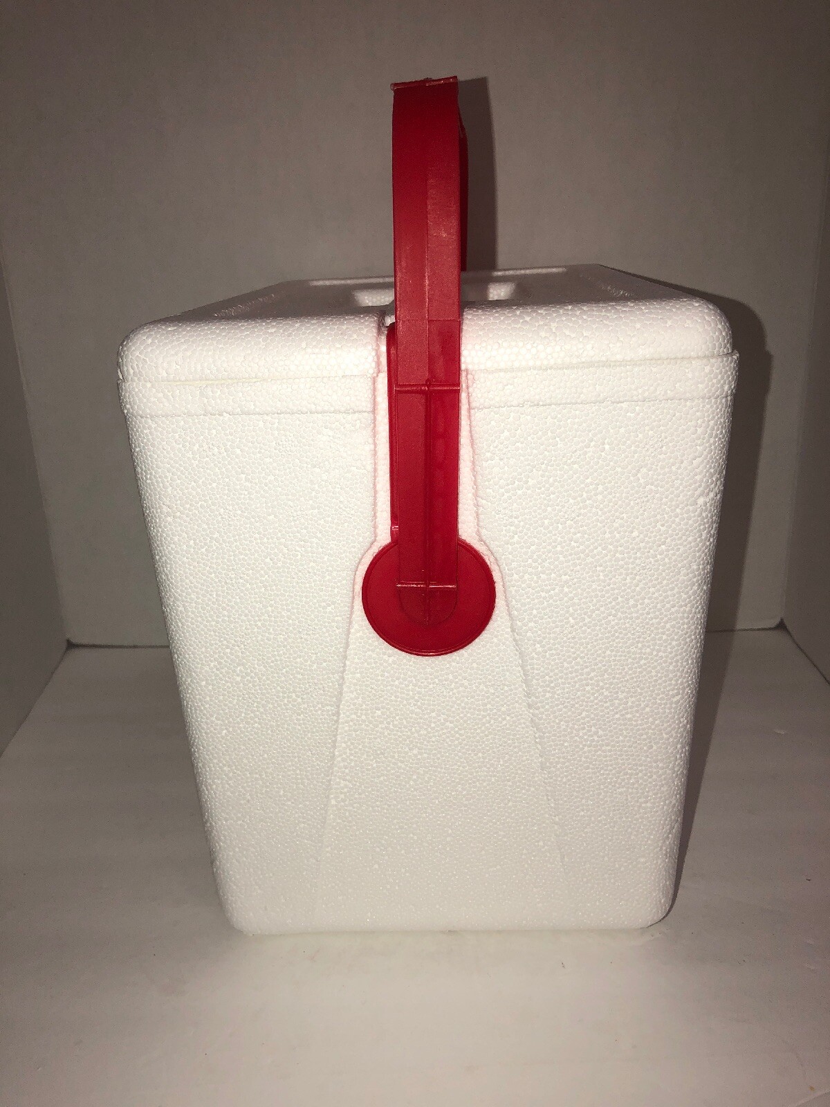 Fishing Insulated Styrofoam Bait Bucket,12 Quart Size:10 1/2” X 11” X8 ...