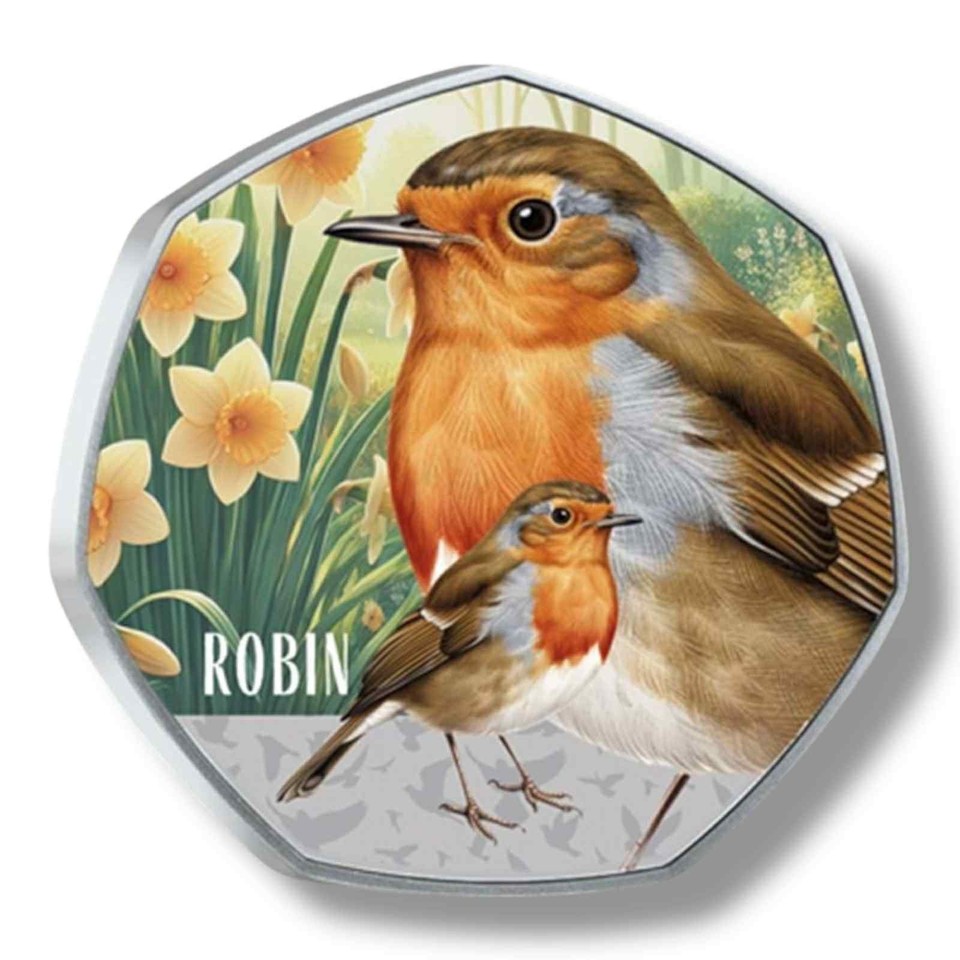 Robin 50p Shaped x3 Coin Set Christmas Robin To Spring Robin British ...