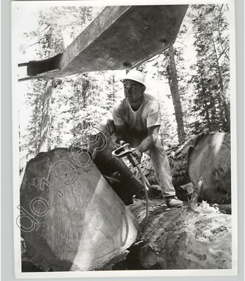 LOGGING Construction Worker @ Incline Village Nevada Press Photo Hans ...