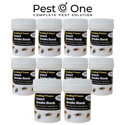 Wasp Bombs - Pest O One 11g Insect Killer Smoke Fogger for Attic Wasp ...
