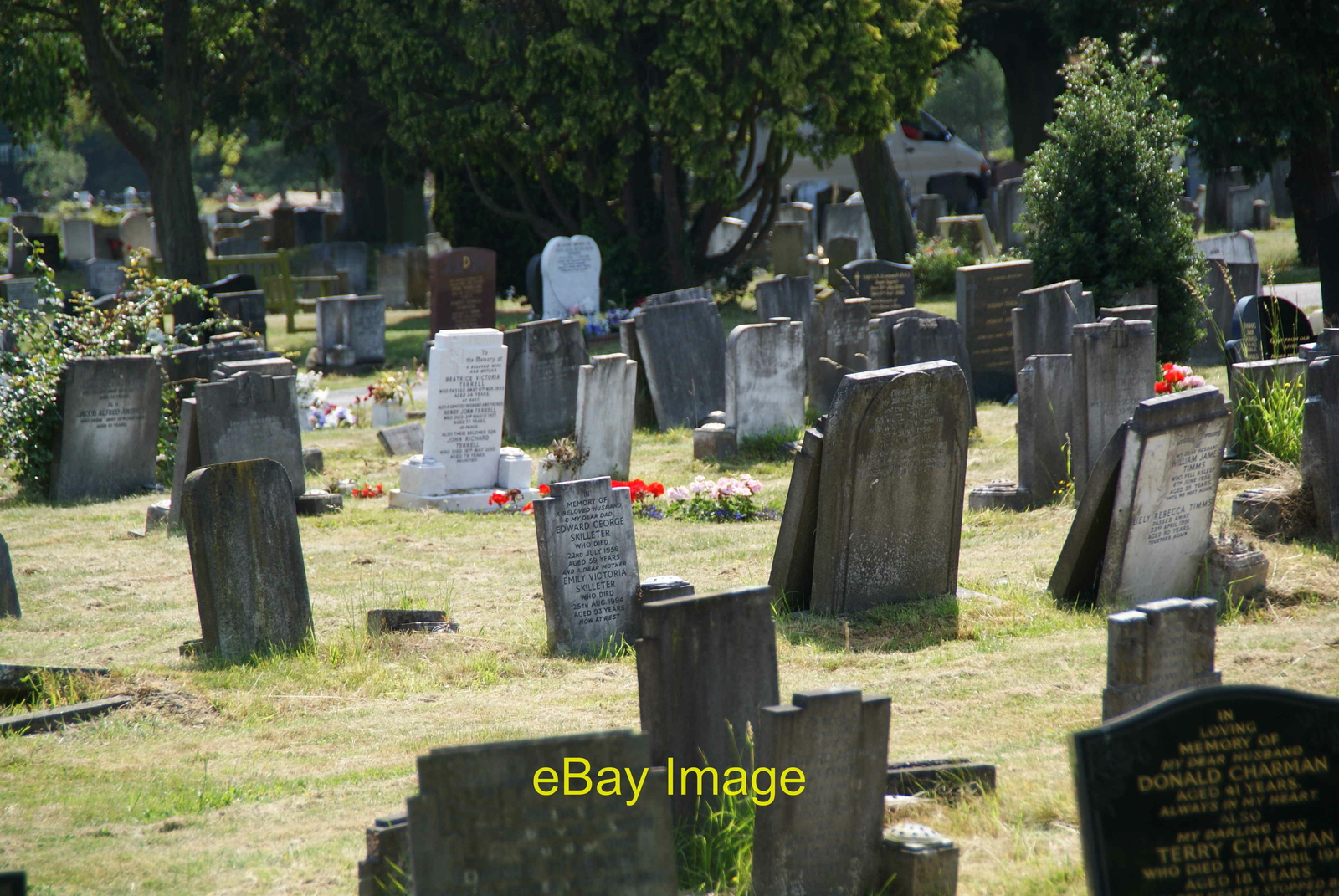 Photo 12x8 Gravestones in Merton and Sutton Cemetery As seen from the ...