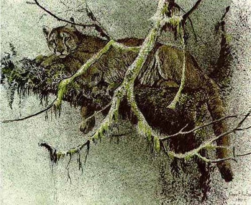 Robert Bateman Cougar In Tree Fine Paper Litho Predator Portfolio Hand ...