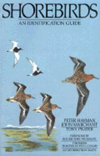 Shorebirds: An Identification Guide to the Waders of the World by Peter ...