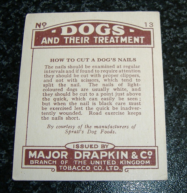Major Drapkin - Dogs And Their Treatment (Large) No13 - How To Cut A ...