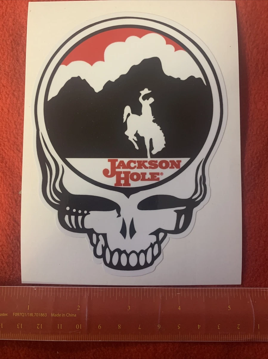 Steal Your Face Vector