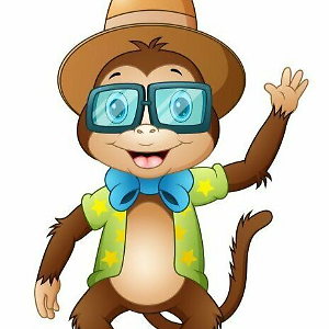 The Monkey Trader | eBay Stores