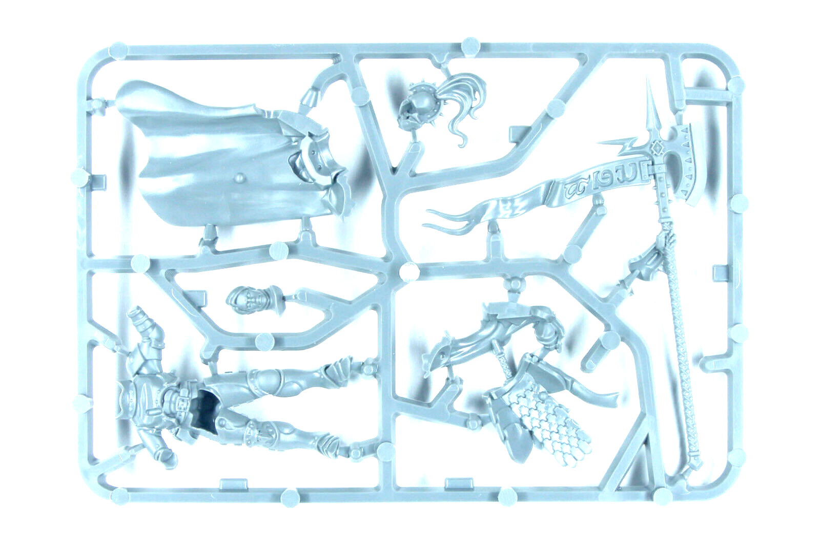 Stormcast Eternals PRAETOR PRIME Dominion Age of Sigmar | eBay Australia