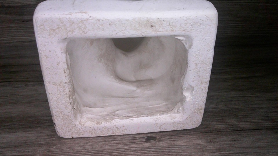 antique 19th century Samuel Wells plaster medical Phrenology head Z29 ...