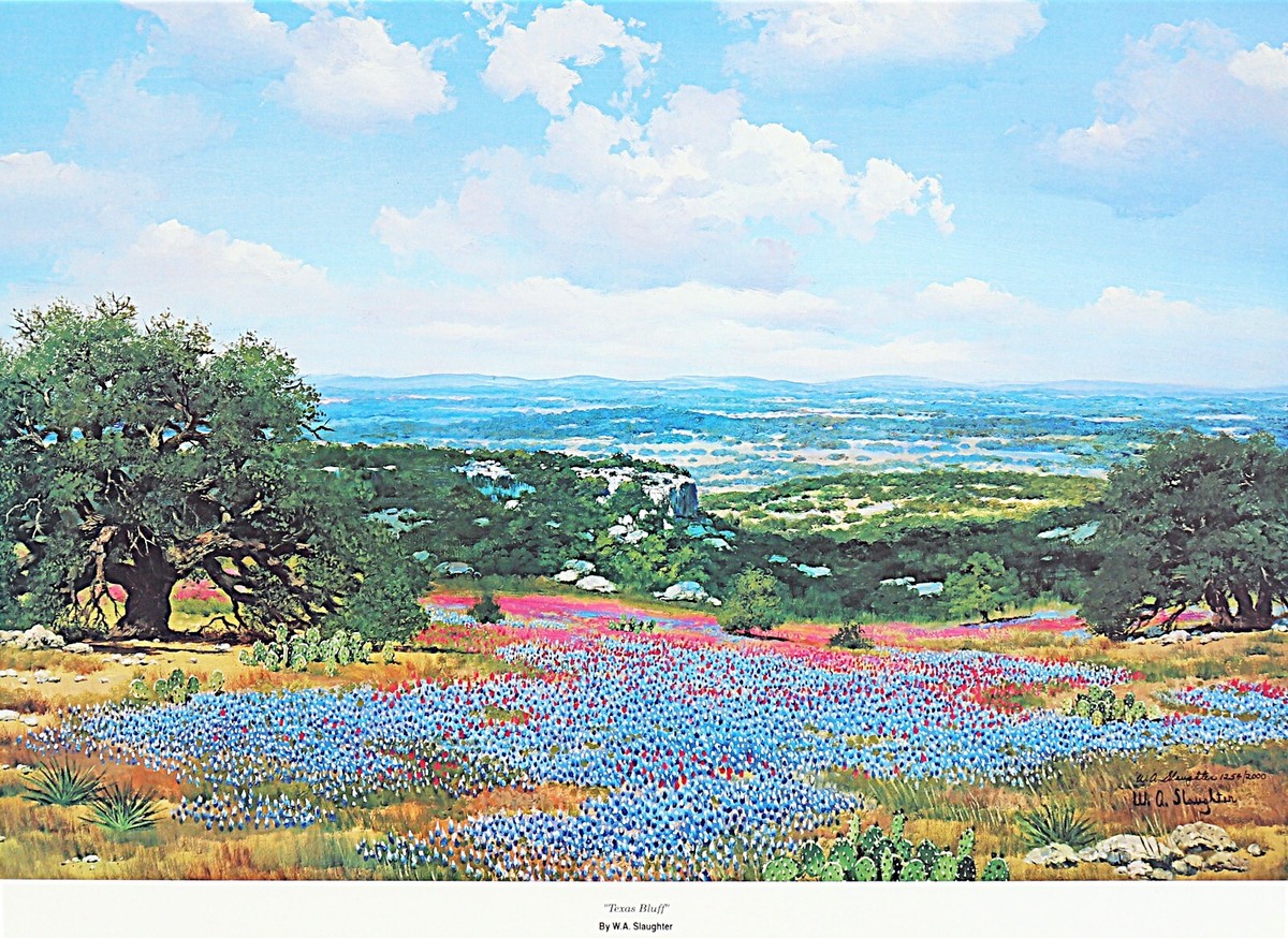 Slaughter Texas Hill Profile For MW Slaughter, LLC Construction