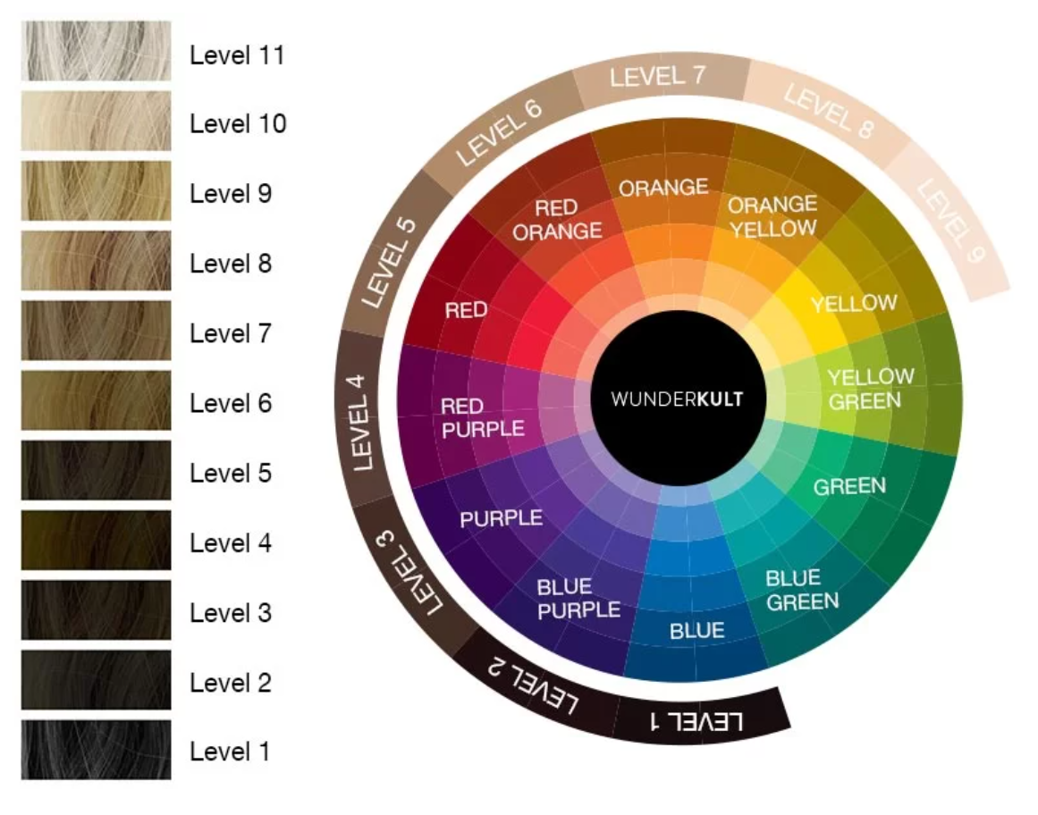 Color Wheel In Cosmetology Hair Colour Chart – Virgin Hair & Beauty,