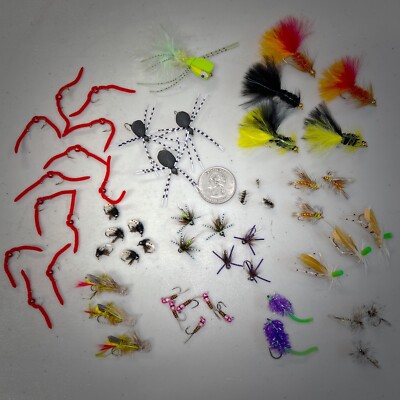 56 pc Fly Fishing Set - Woolly Hopper Popper Frenchie Worm for Panfish ...