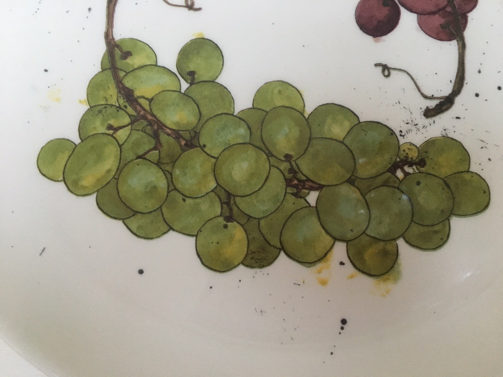 Waitrose Limited Edition - Royal Stafford Ceramic Cheese Plate - Grapes ...