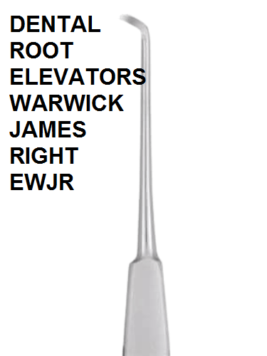 DENTAL INSTRUMENT ROOT ELEVATORS WARWICK JAMES RIGHT EWJR Short Time on ...
