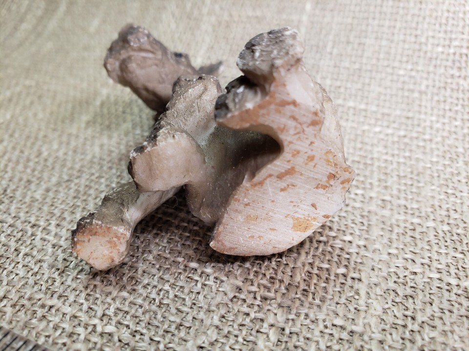 RARE 1990 Stone Critters Baby Rhino UDC United Design Figurine | eBay