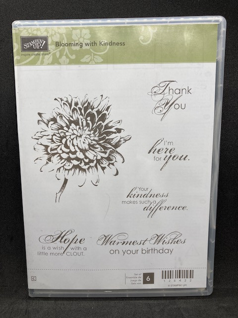 Stampin Up Blooming With Kindness WOW! Video. NEW! Expressions Of