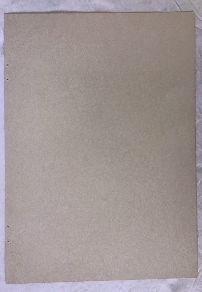 HOLBEIN the Younger Antique The LADY VAUX Monograph Portrait Print ...