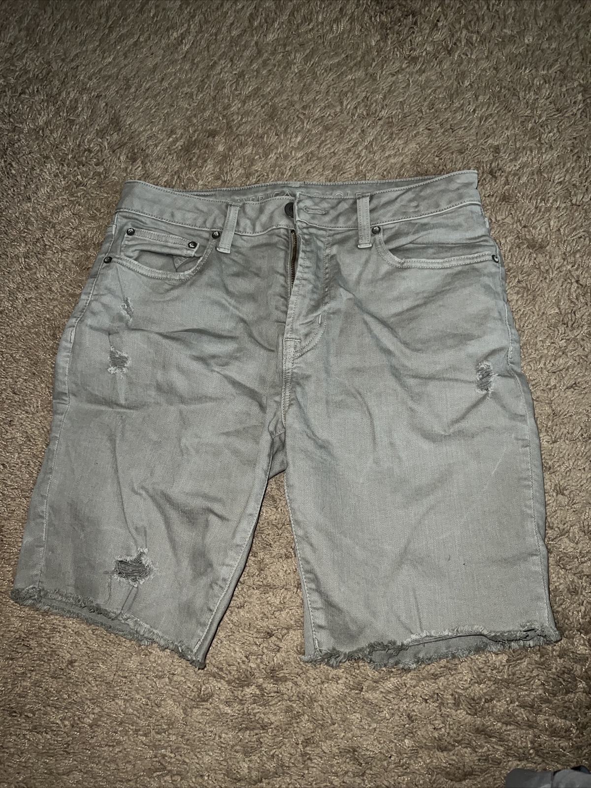 American Eagle Ne(x)t level flex men’s jorts size 31 | eBay
