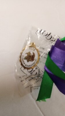 Vintage Tops Club Summer Achievement Reward Charm Unopened | eBay