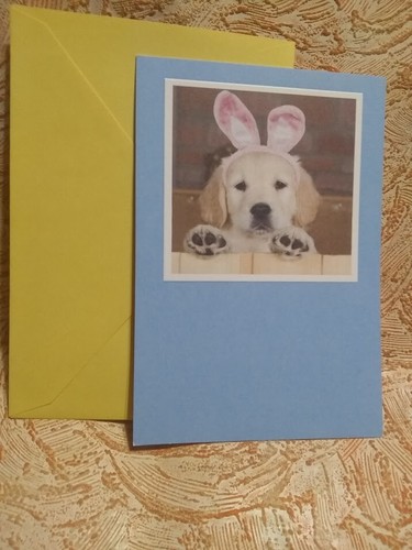 Adorable Card Wishing You Pawsitively Wonderful Easter Cute Dog With ...
