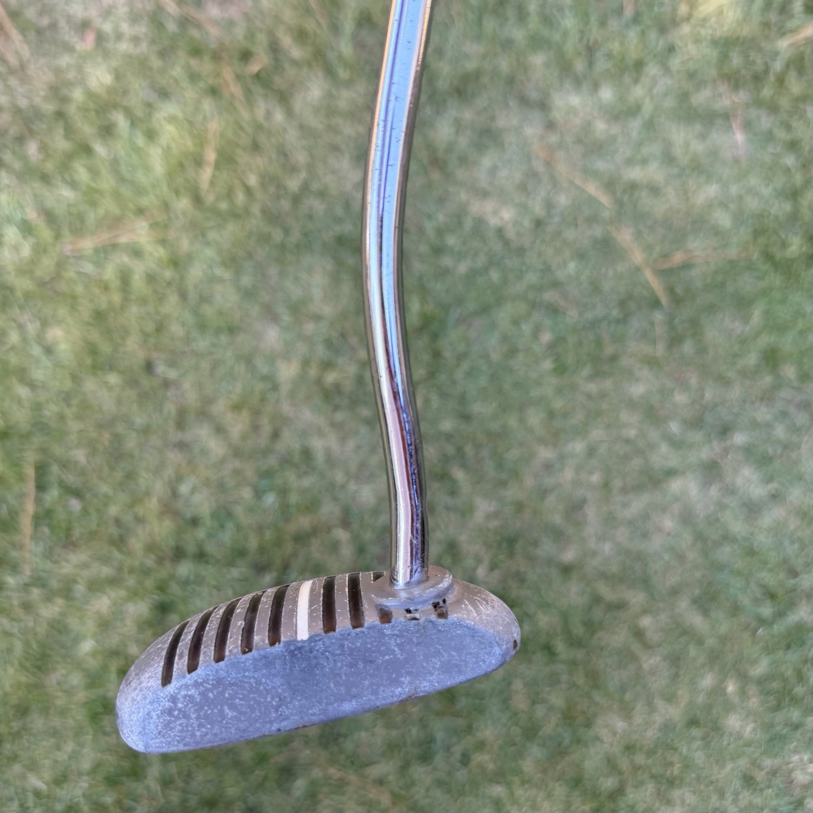 Vintage Zebra Face Balanced Putter, Grey Ram, RH 35.5 Good Condition ...