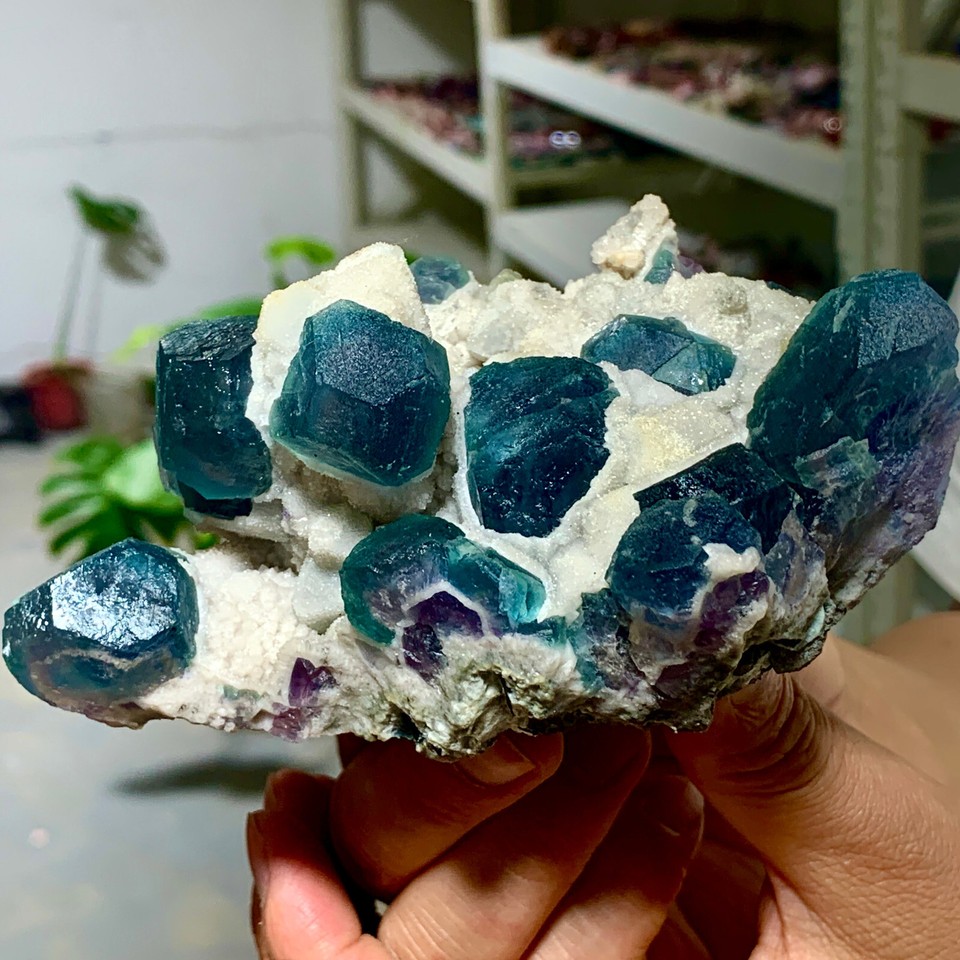 452G Rare transparent blue cubic fluorite mineral crystal sample/China ...