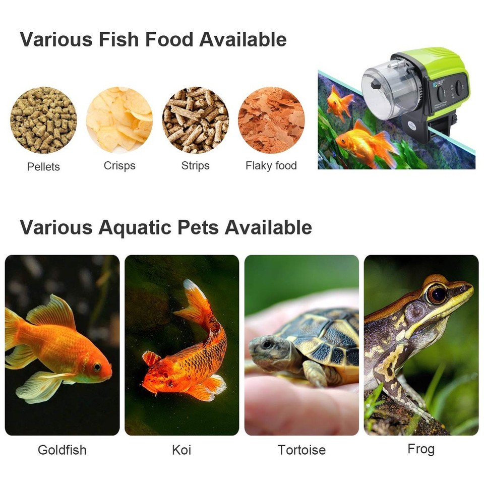 Automatic Fish Feeder, Lychee Fish Feeder Fish Food Vacation Feeder ...