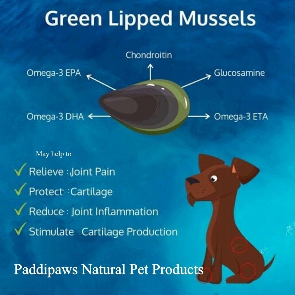 Green Lipped Mussel Omega 3 For Dogs - Infoupdate.org