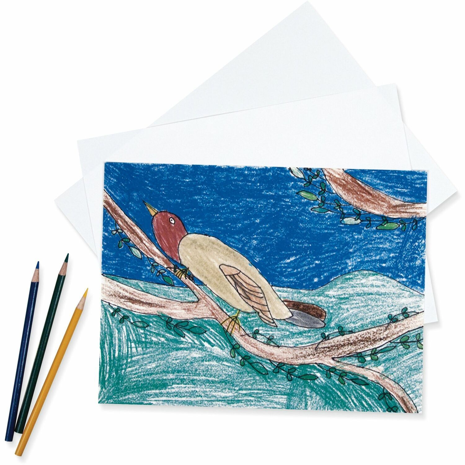 Pacon Drawing Paper - 500 Sheet - 12" X 18" - 500 / Ream - Bright White ...