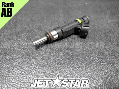 RXT-X 300 '20 OEM INJECTOR Used (420874000) [X2403-71] | eBay