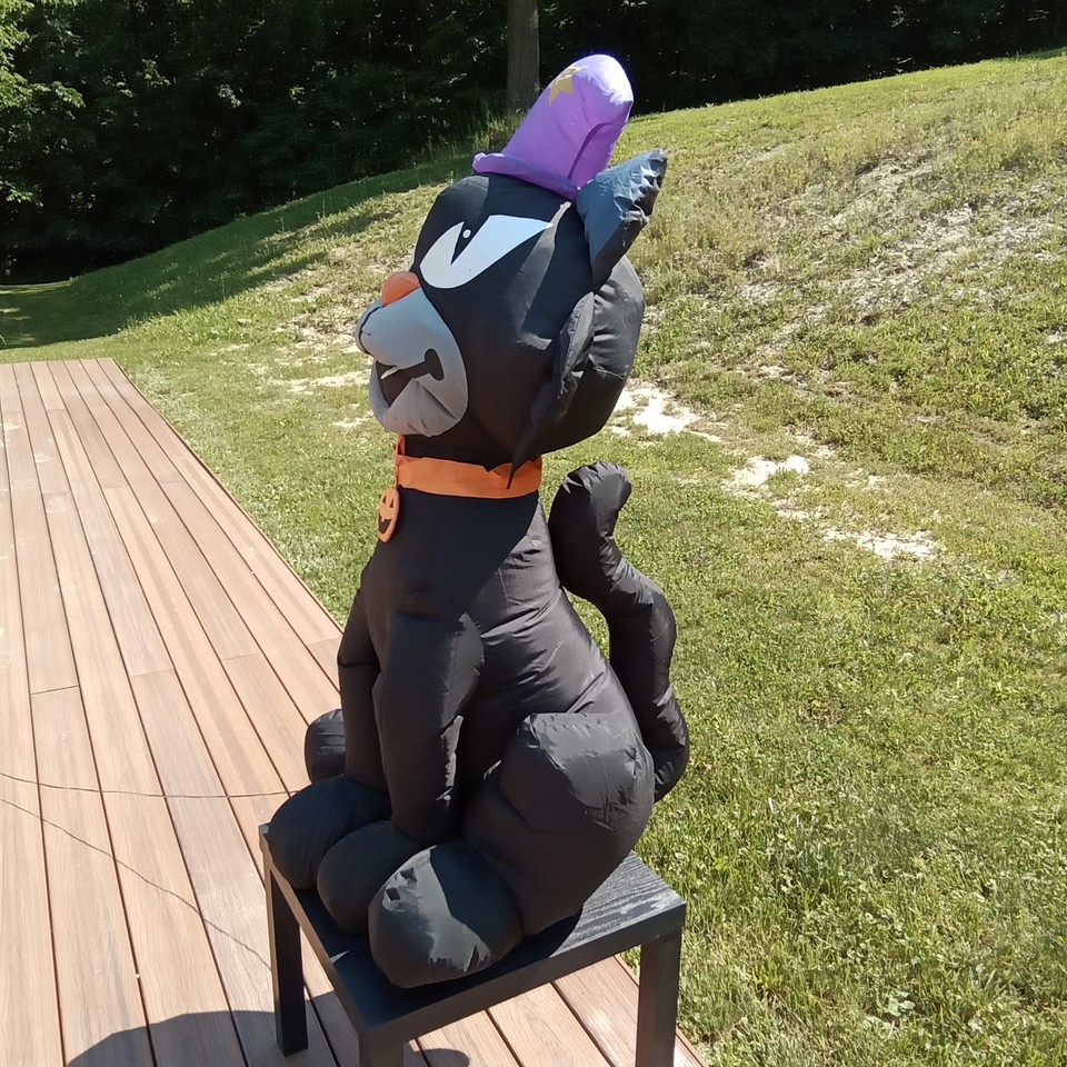Vintage Halloween Airblown Inflatable Black Cat Gemmy 2000s | eBay