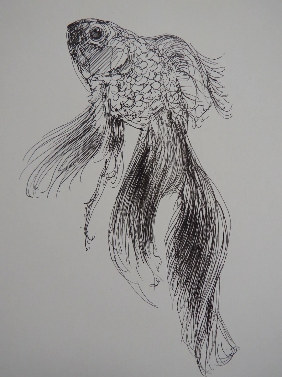 Ink Drawings Of Fish