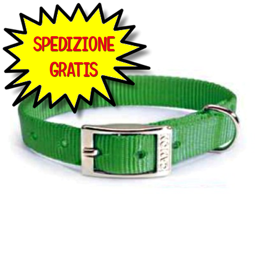 CAMON COLLARE NYLON 15 X 450 MM VERDE F043/04 | eBay