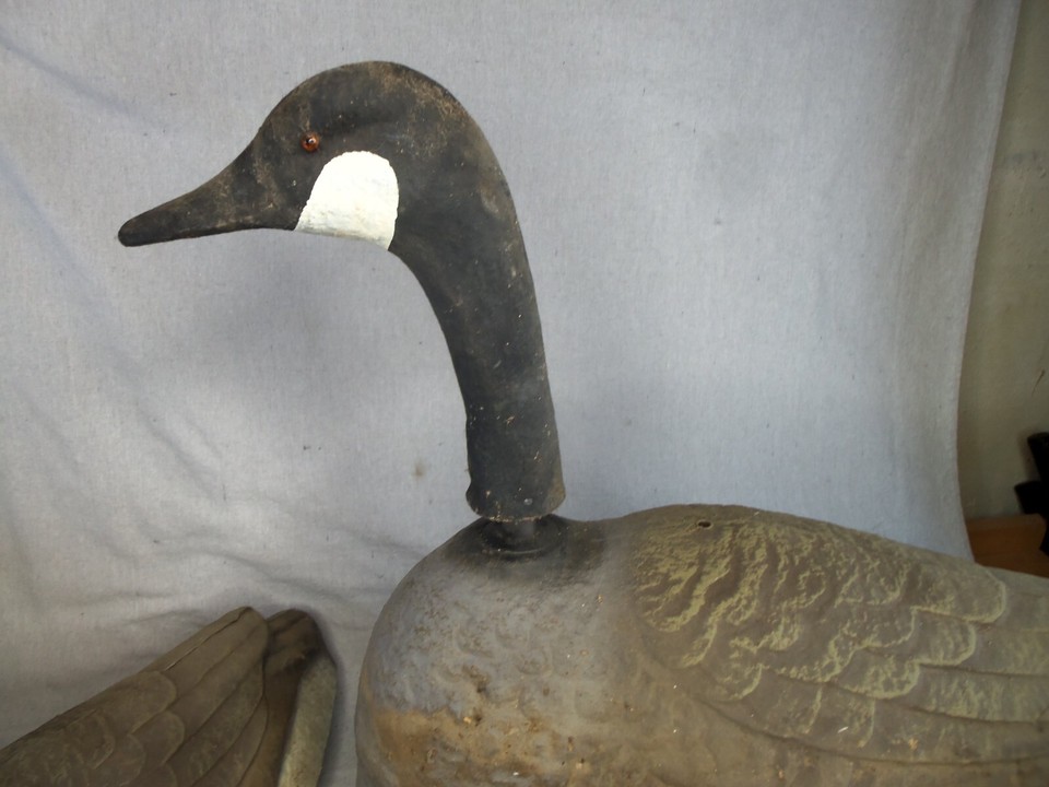 antique canadian goose paper mold goose decoys lot of 5 | eBay