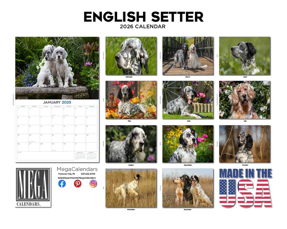 English Setter Dog Breed Calendar 2026 12x18 Made in USA | eBay