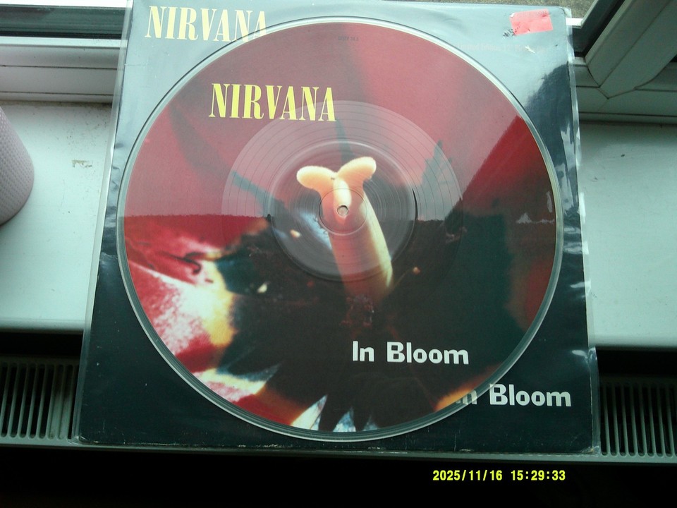 NIRVANA- 12" PICTURE DISC- IN BLOOM-EX. | eBay UK